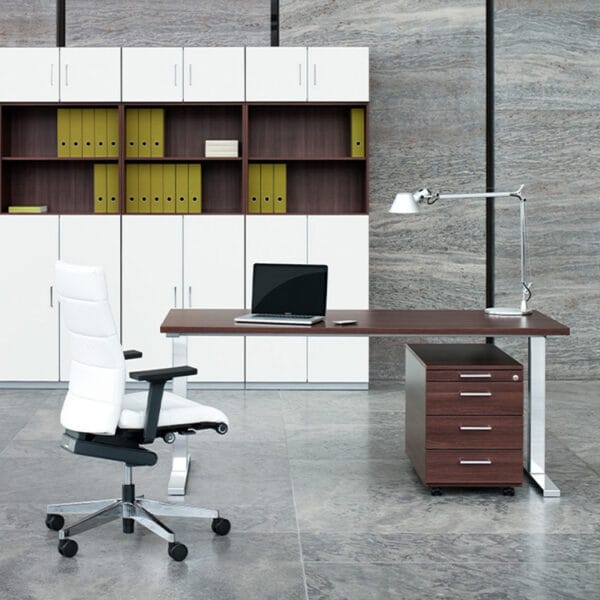 Executive Office Chairs Cyprus 2026 | Luxury Managerial Seating